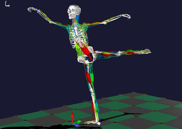 The physics of Ballet | helen the hare